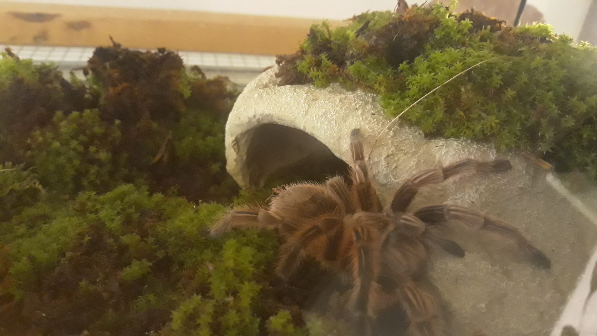 Zoo Vivarium Darmstadt