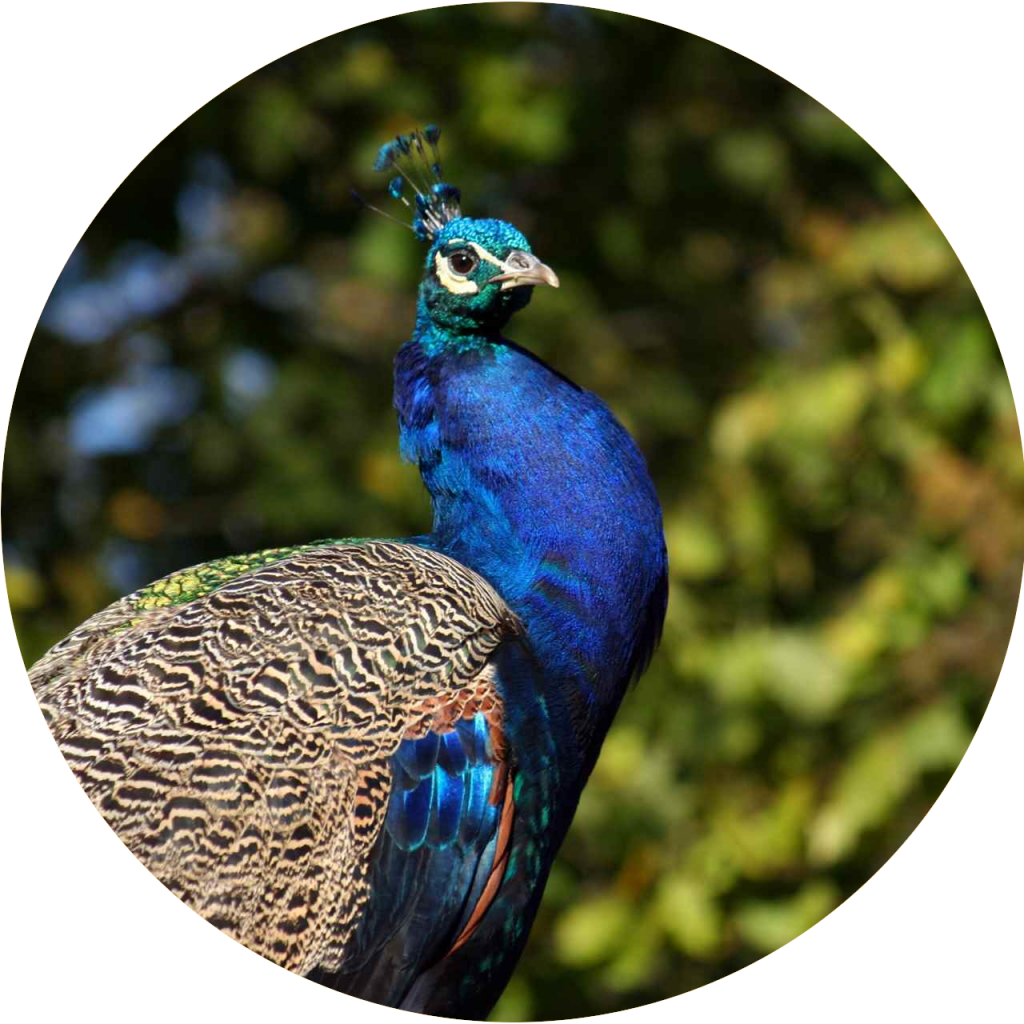 Zoo Vivarium Darmstadt