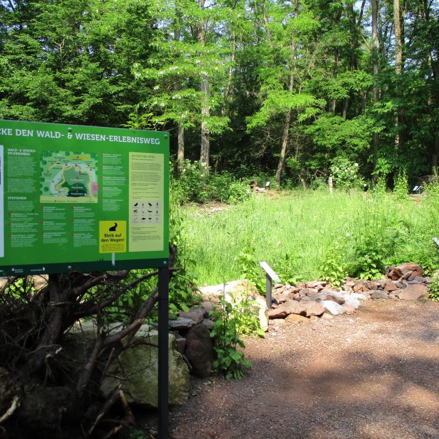 Zoo Vivarium Darmstadt