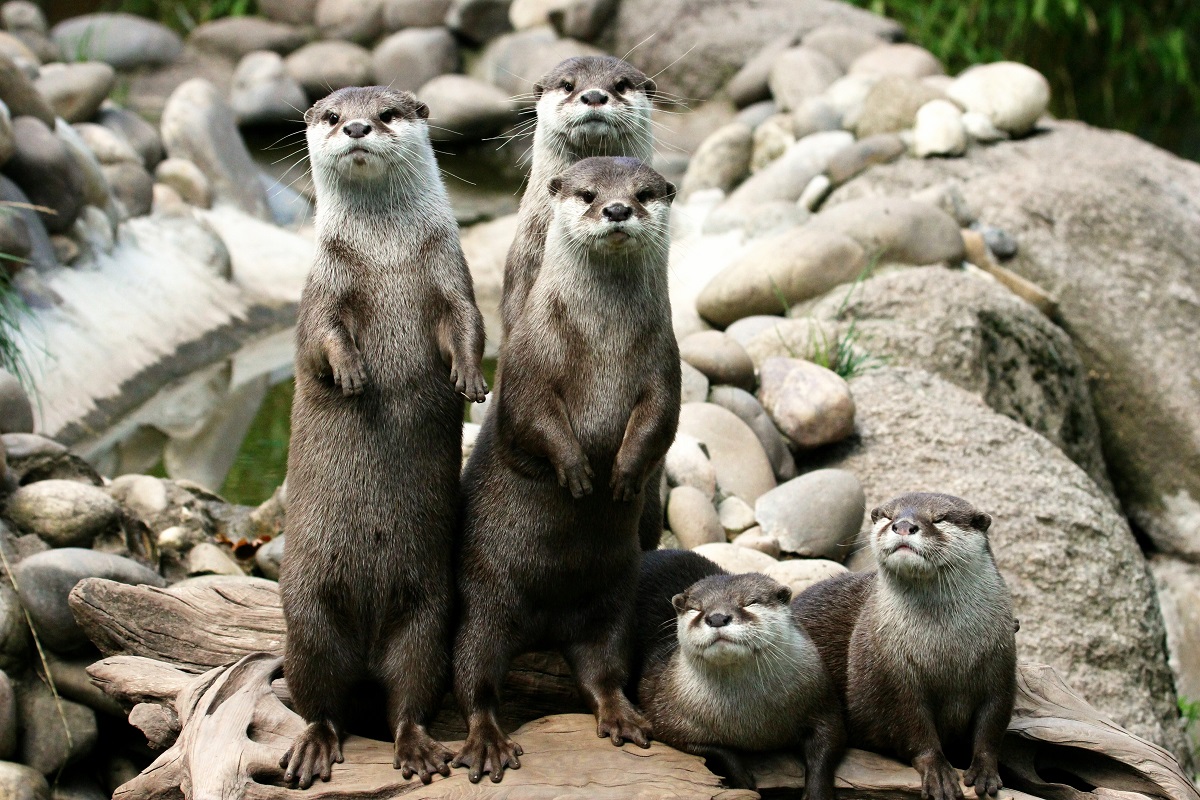 Zoo Vivarium Darmstadt