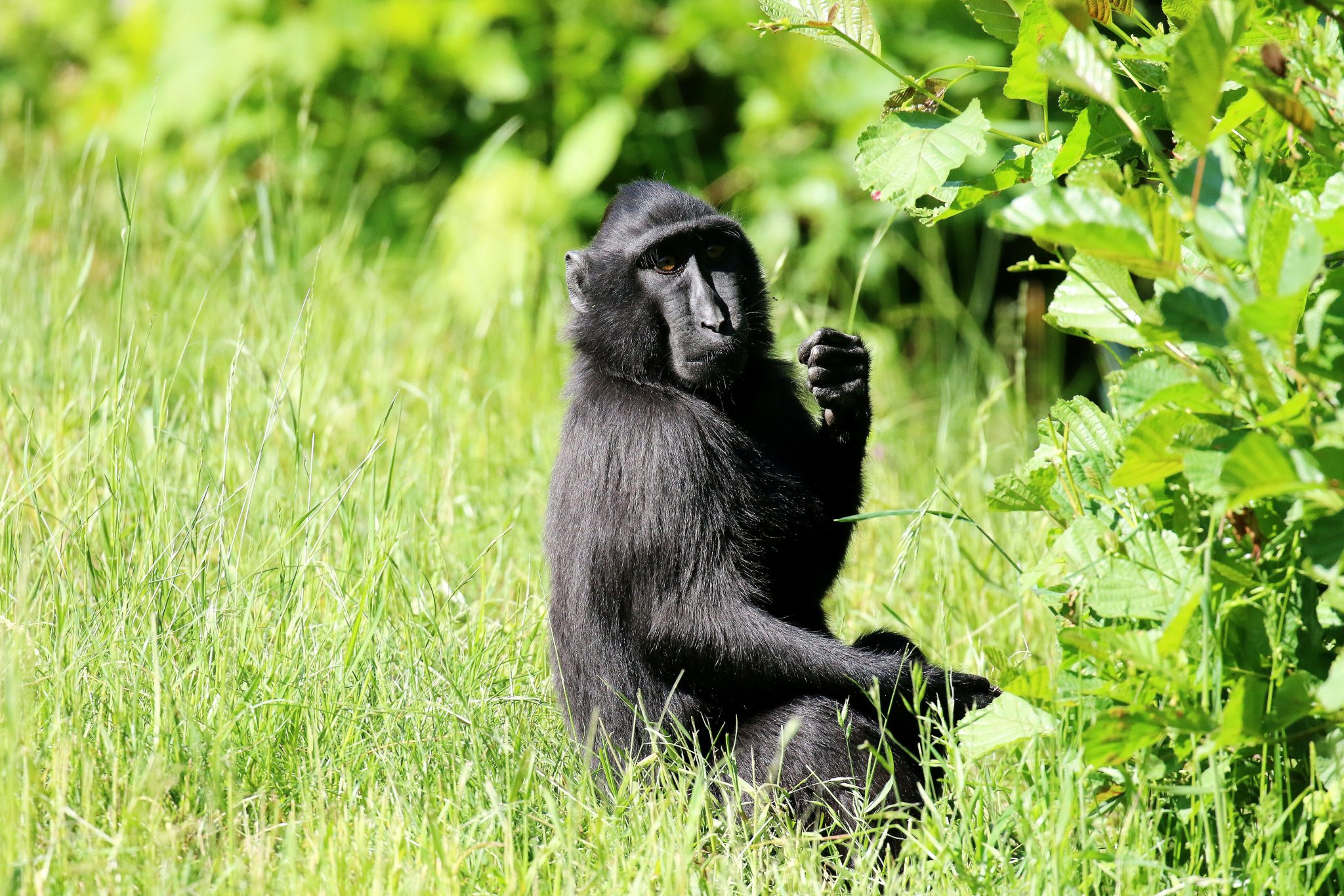 Zoo Vivarium Darmstadt