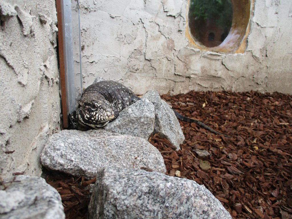 Zoo Vivarium Darmstadt