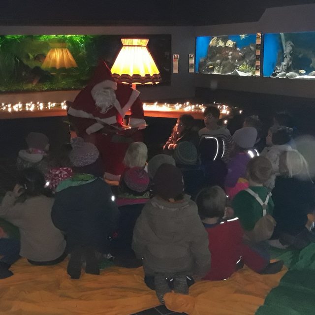 Zoo Vivarium Darmstadt