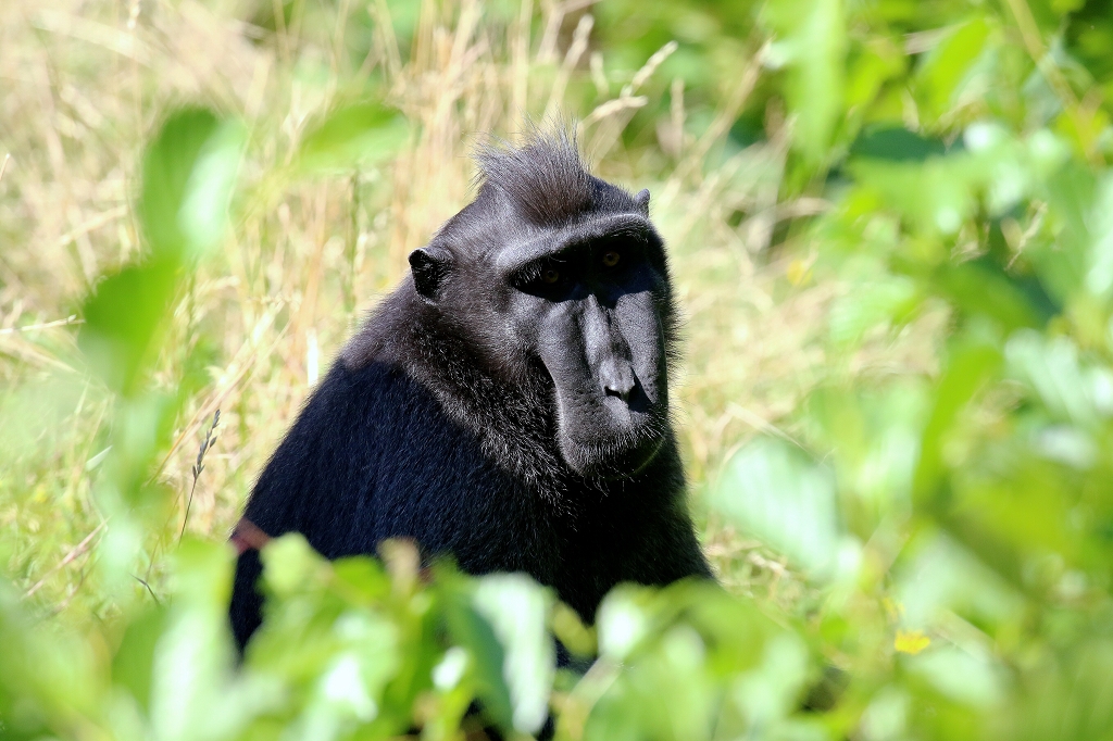 Zoo Vivarium Darmstadt