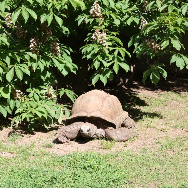 Zoo Vivarium Darmstadt