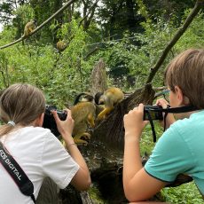 Zoo Vivarium Darmstadt