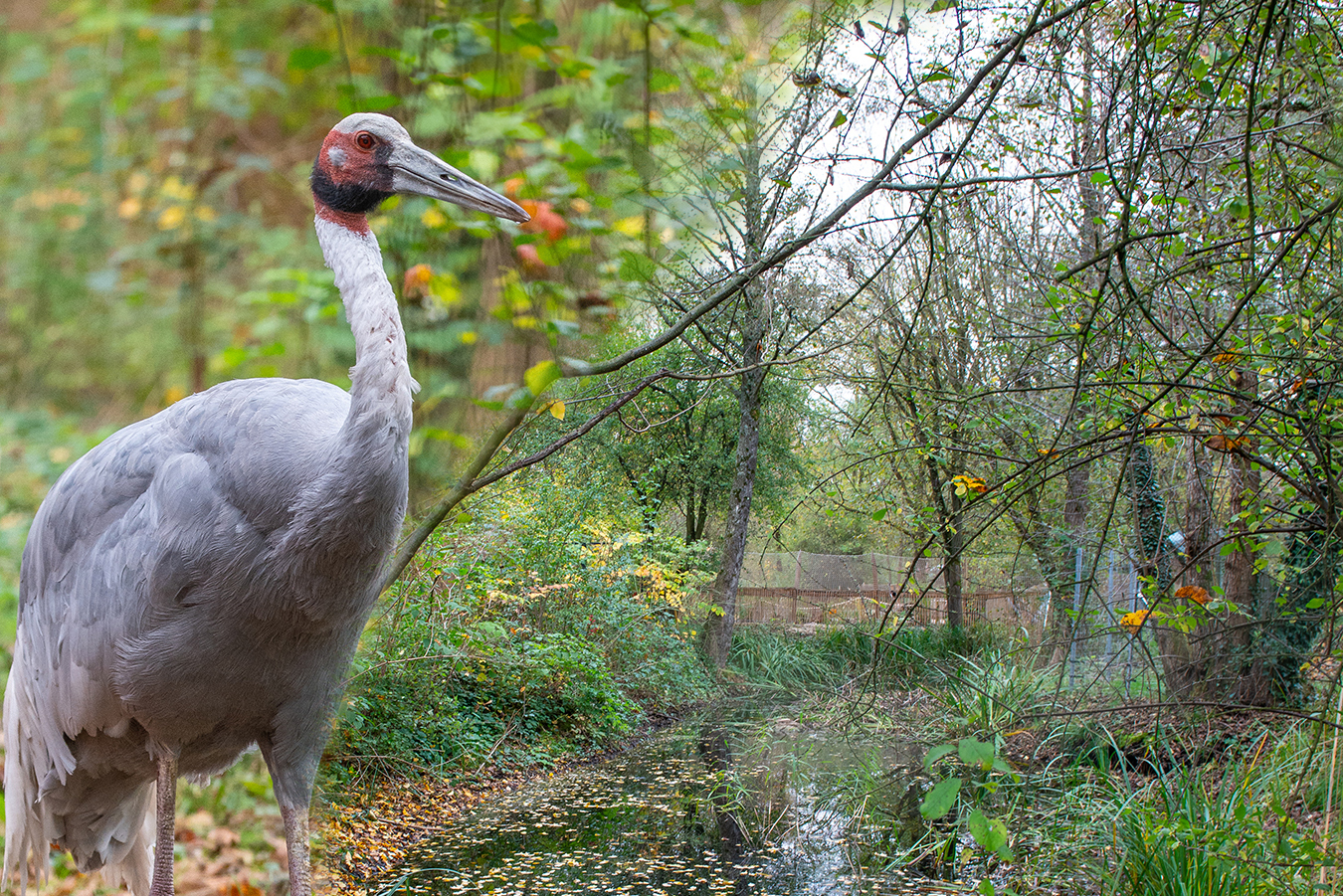 Zoo Vivarium Darmstadt