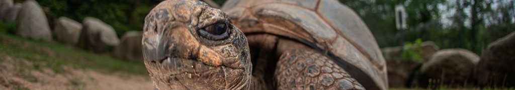 Zoo Vivarium Darmstadt