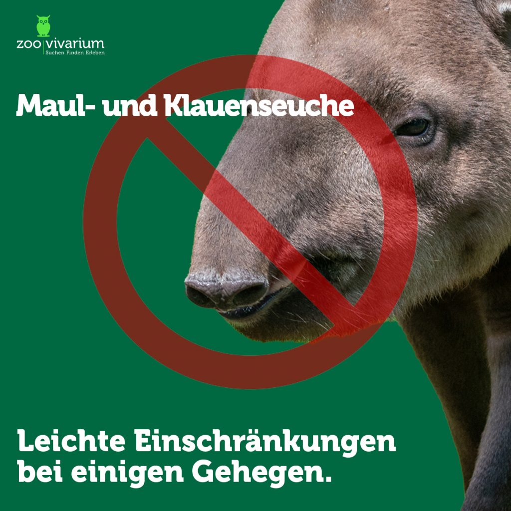 Zoo Vivarium Darmstadt