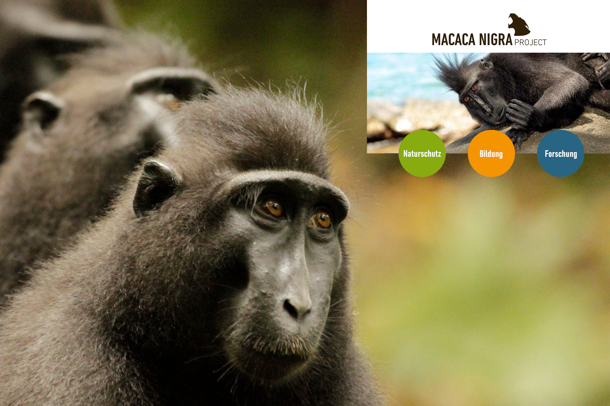 Zoo Vivarium Darmstadt