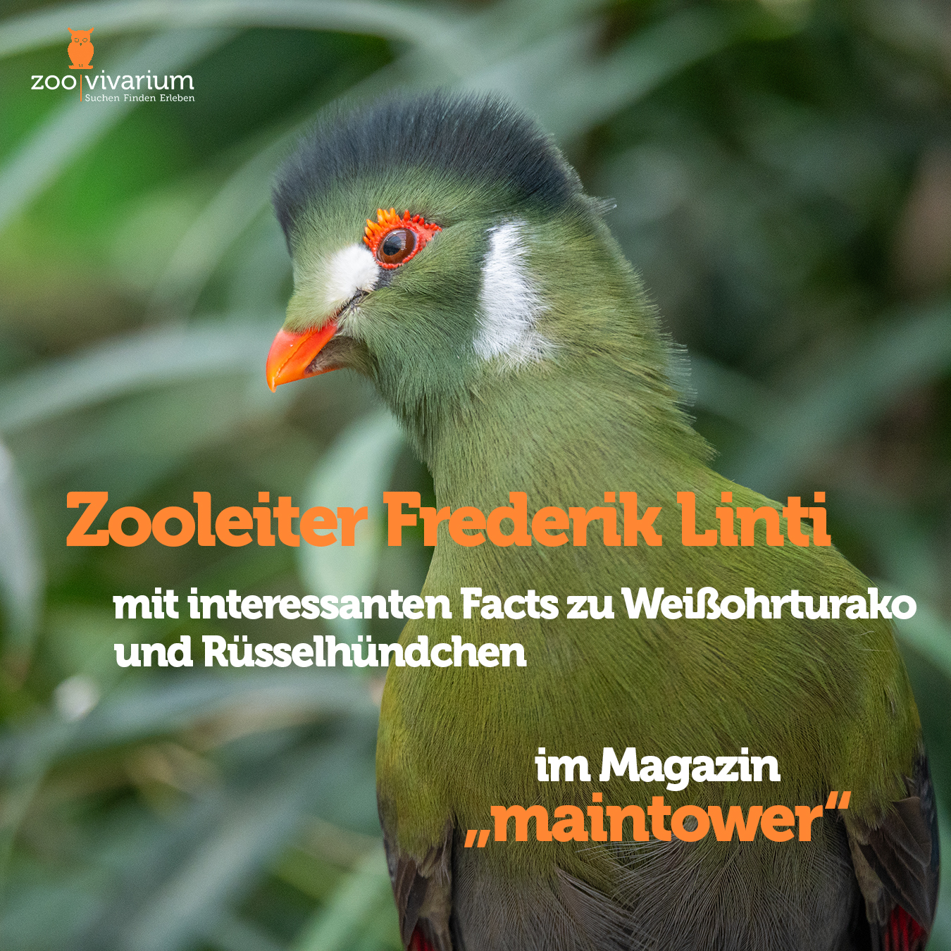 Zoo Vivarium Darmstadt